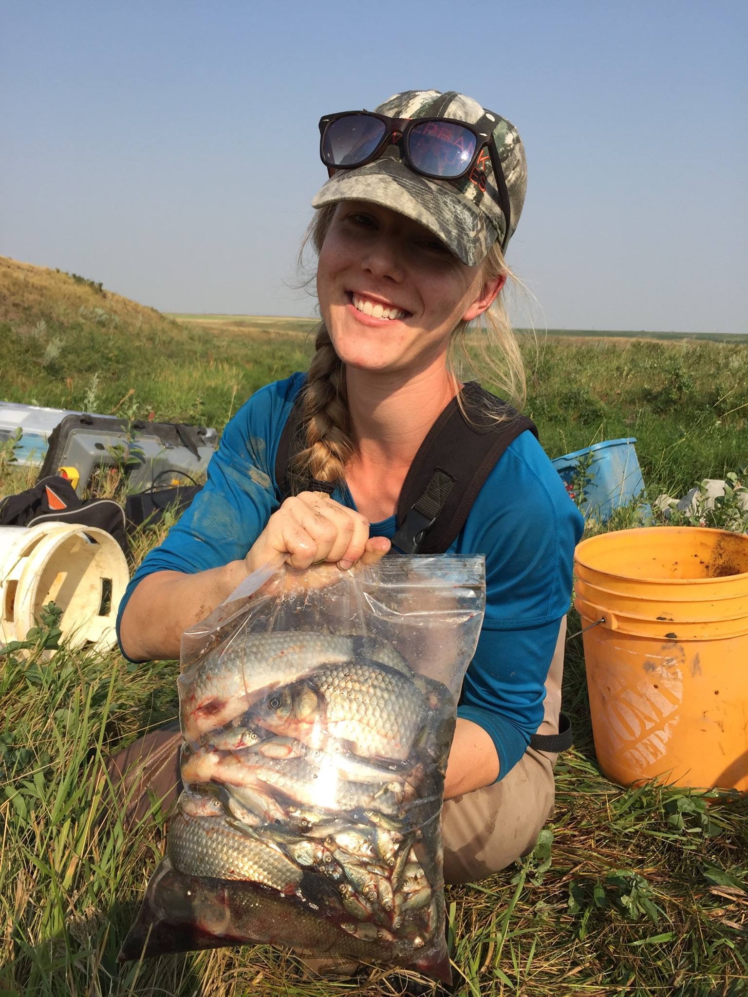 Prussian Carp | PoeschLab